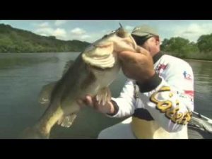 Best Lake Austin Fishing Guide | Texas Fishing Guides