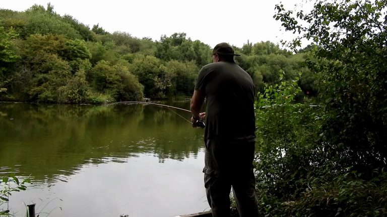 Free Line Fishing – Most Enjoyable and Best Way to Catch Carp | Texas ...